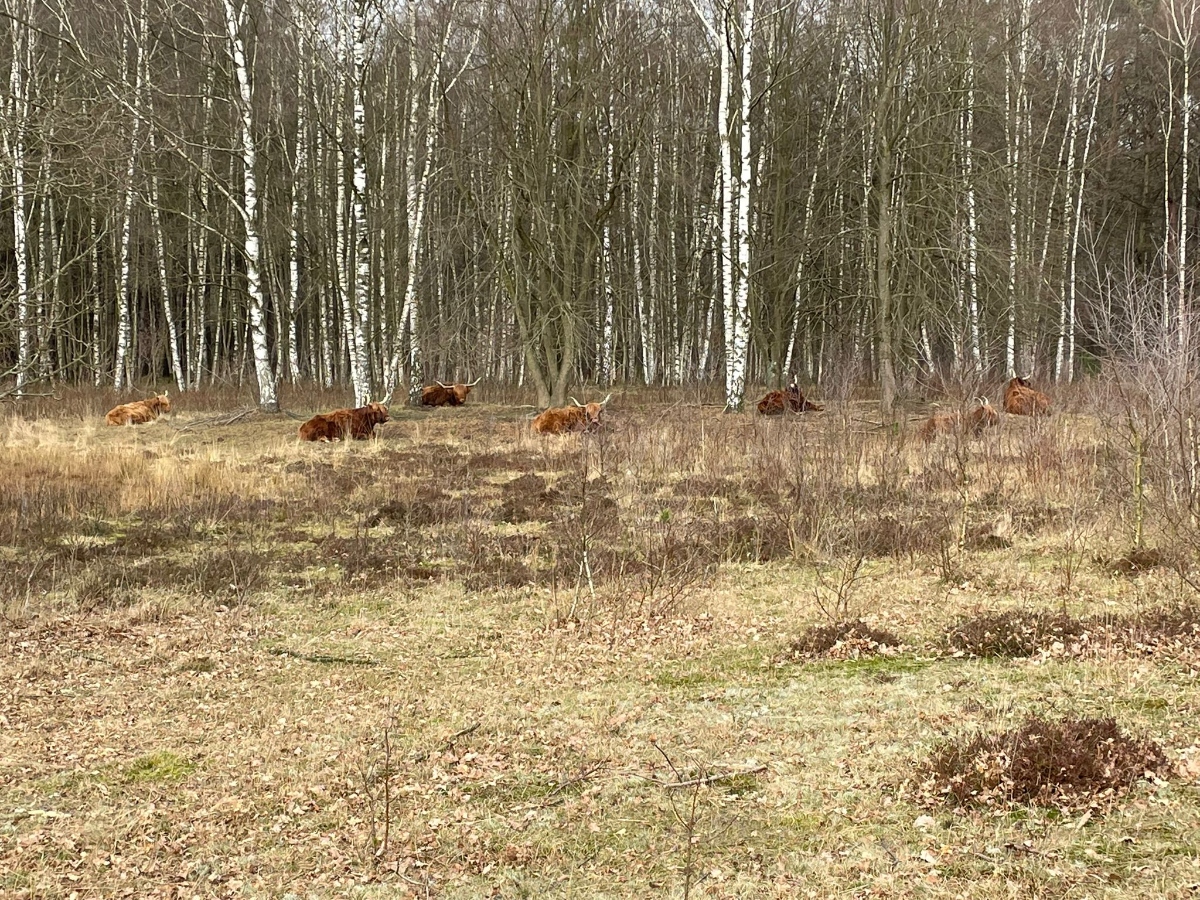 Sunparks Mol - er lekker op uit met het gezin - De Mooiste Plekken Van ...